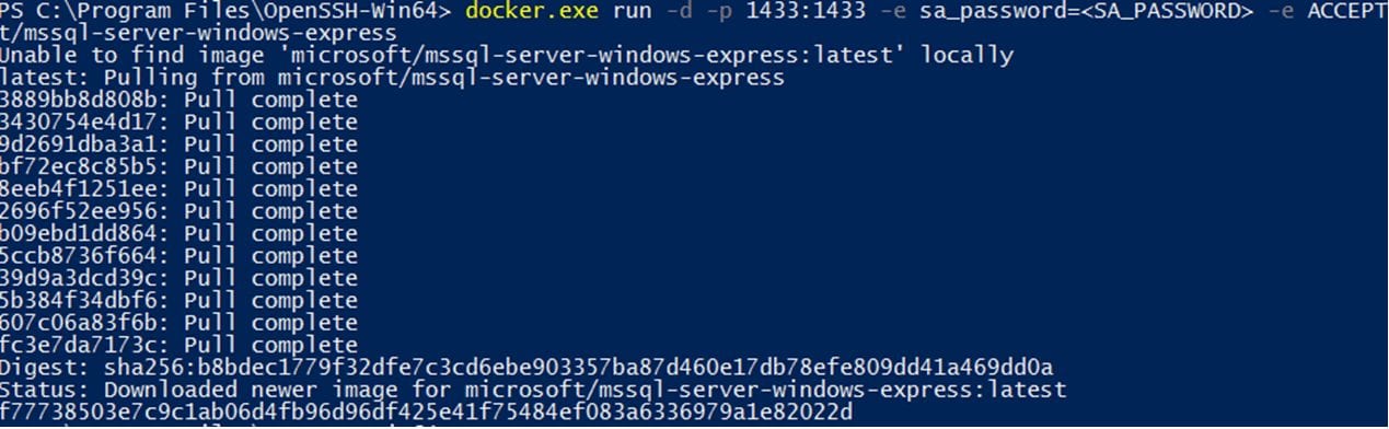 Crear Dockers IIS y SQLServer en Windows Server 2016 - Blog Virtualizacion