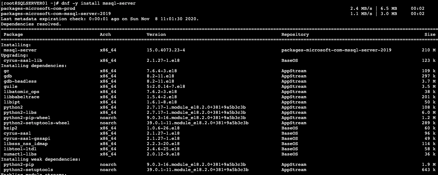 Linux: Instalar SQL Server 2019 - Blog Virtualizacion